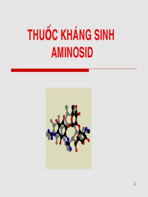 THUỐC KHÁNG SINH AMINOSID, ĐẠI HỌC Y TP HCM