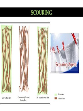 Scouring - Definition of Scouring