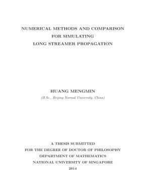 Numerical methods and comparison for simulating long streamer propagation