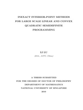 Inexact interior point methods for large scale linear and convex ...