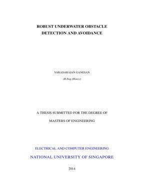 Robust underwater obstacle detection and avoidance