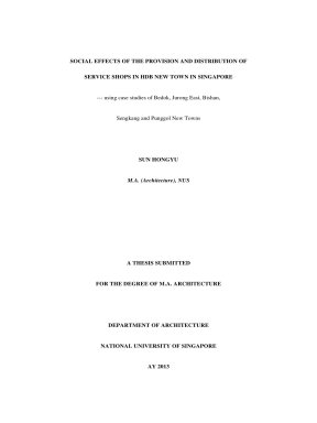 Social effects of the provision and distribution of daily service shops ...
