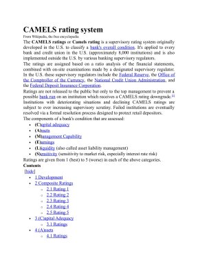 CAMELS rating system