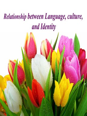 Relationship between language, culture, and identity
