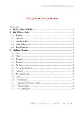 Tổng quan dân tộc HMông (PDF,Word)
