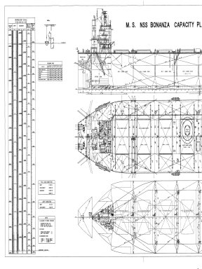 CAPACITY PLAN WITH DEADWEIGHT SCALE