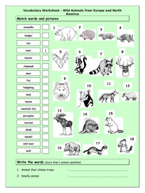 4001 vocabulary matching worksheet wild animals from europe north america