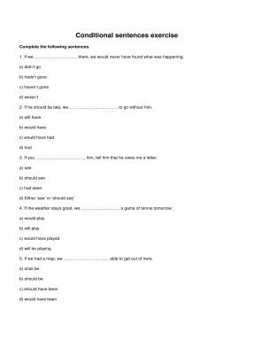 Conditional sentences exercise