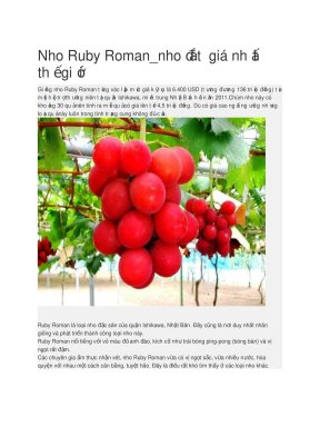 Giới thiệu nho ruby roman nhật bản đắt nhất thế giới