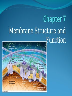 Lecture AP Biology Chapter 7 Membrane structure and function
