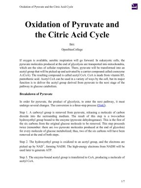 Oxidation of Pyruvate and the Citric Acid Cycle