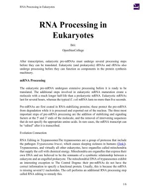 RNA Processing in Eukaryotes
