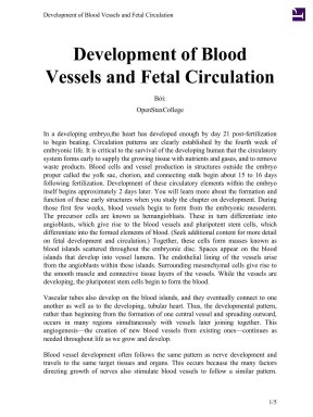 Development of Blood Vessels and Fetal Circulation