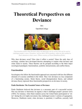 Theoretical Perspectives on Deviance