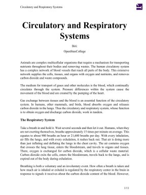 Circulatory and Respiratory Systems