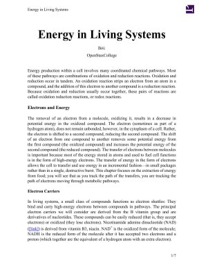 Energy in Living Systems
