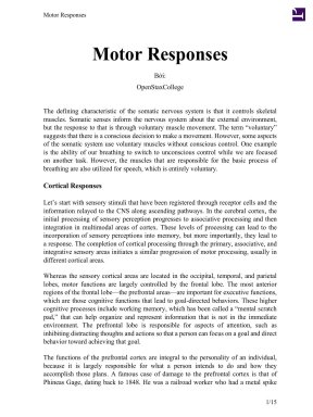 Tài liệu PDF Motor Responses