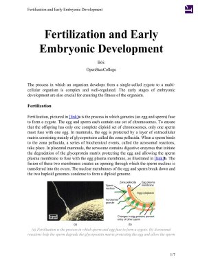 Fertilization and Early Embryonic Development
