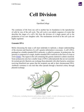 Tài liệu PDF Cell Division