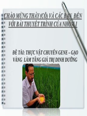 thực vật chuyển gene – gạo vàng làm tăng giá trị dinh dưỡng