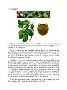 Tổng quan về mù u, tác dụng và ứng dụng của nó