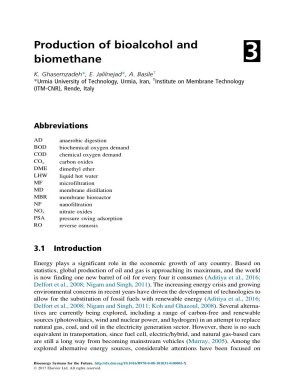 Bioenergy systems for the future 3 production of bioalcohol and biomethane