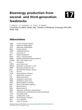 Bioenergy systems for the future 17 bioenergy production from second ...