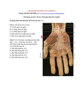 Tài liệu giải phẫu hay