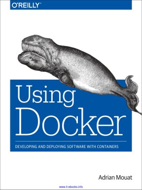 Using docker container