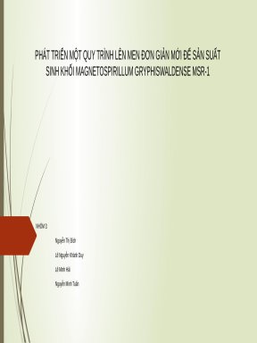 PHÁT TRIỂN MỘT QUY TRÌNH LÊN MEN ĐƠN GIẢN MỚI ĐỂ SẢN SUẤT SINH KHỐI