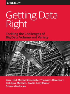 getting data right tacking the challenges of big data volume and variety