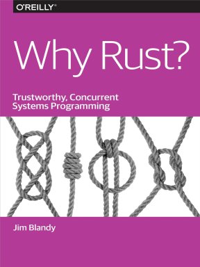 Why rust big data