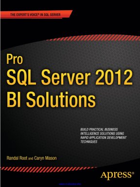 Pro SQL server 2012 BI solutions