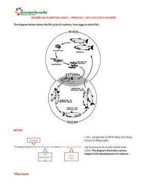 IELTS writing task 1 process life cycle of a salmon