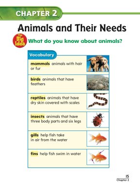 chapter 2 animals and their needs lesson 1 animals everywhere 161130020908
