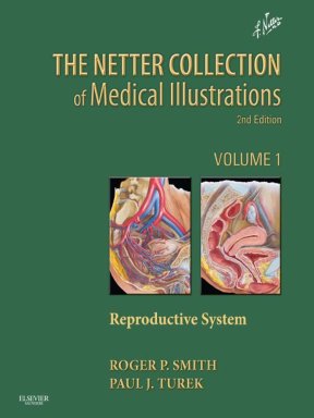 Netter collection reproductive system