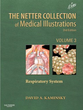 Netter collectionrespiratory system
