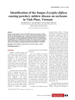 Identification of the fungus Erysiphe diffusa causing powdery mildew ...