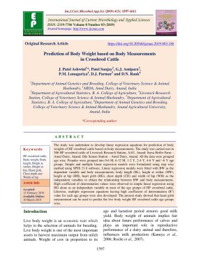 Prediction of body weight based on body measurements in crossbred cattle