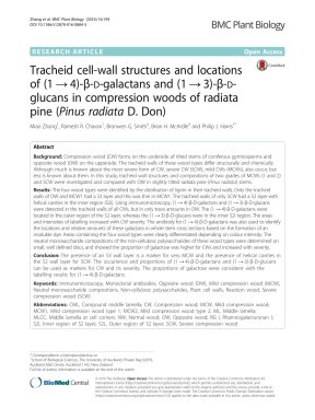 Tracheid cell-wall structures and locations of (1 → 4)-β-D-galactans ...