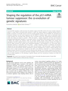 Shaping the regulation of the p53 mRNA tumour suppressor: The co ...