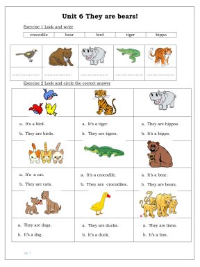 Unit 6 Family and Friends Special Edition Grade 1