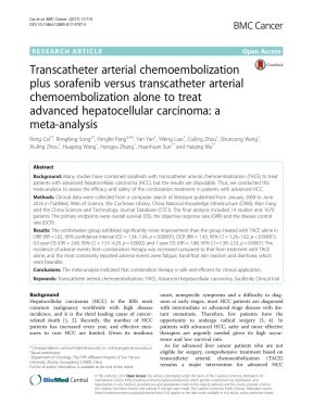 Transcatheter arterial chemoembolization plus sorafenib versus transcatheter arterial ...