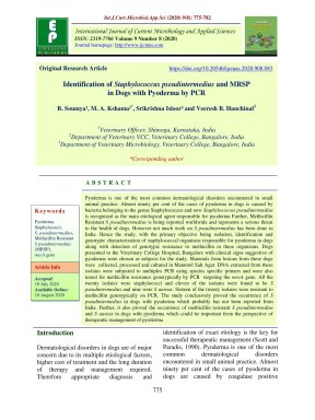 Identification of Staphylococcus pseudintermedius and MRSP in dogs with ...