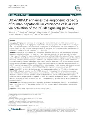 URG4/URGCP enhances the angiogenic capacity of human hepatocellular carcinoma cells in vitro via ...