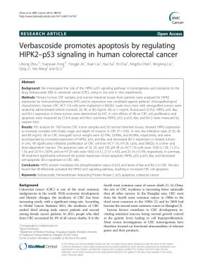 Verbascoside promotes apoptosis by regulating HIPK2–p53 signaling in ...