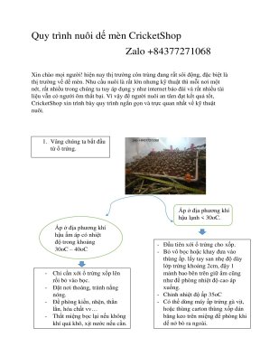 Quy trình nuôi dế mèn