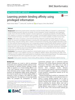 Learning protein binding affinity using privileged information