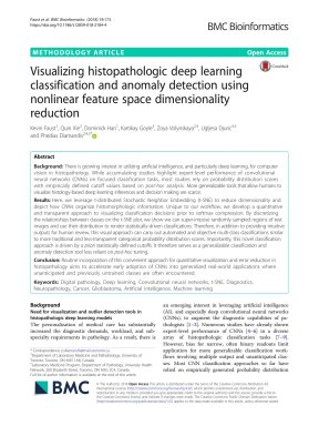 Visualizing histopathologic deep learning classification and anomaly detection using nonlinear