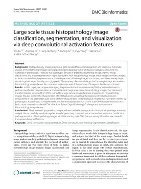 Large scale tissue histopathology image classification, segmentation ...